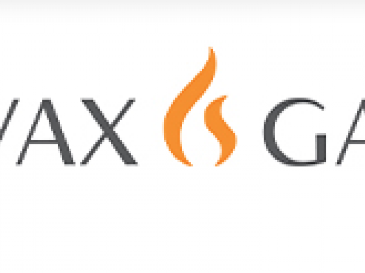 New Stovax and Gazco branding | Croydon Fireplaces